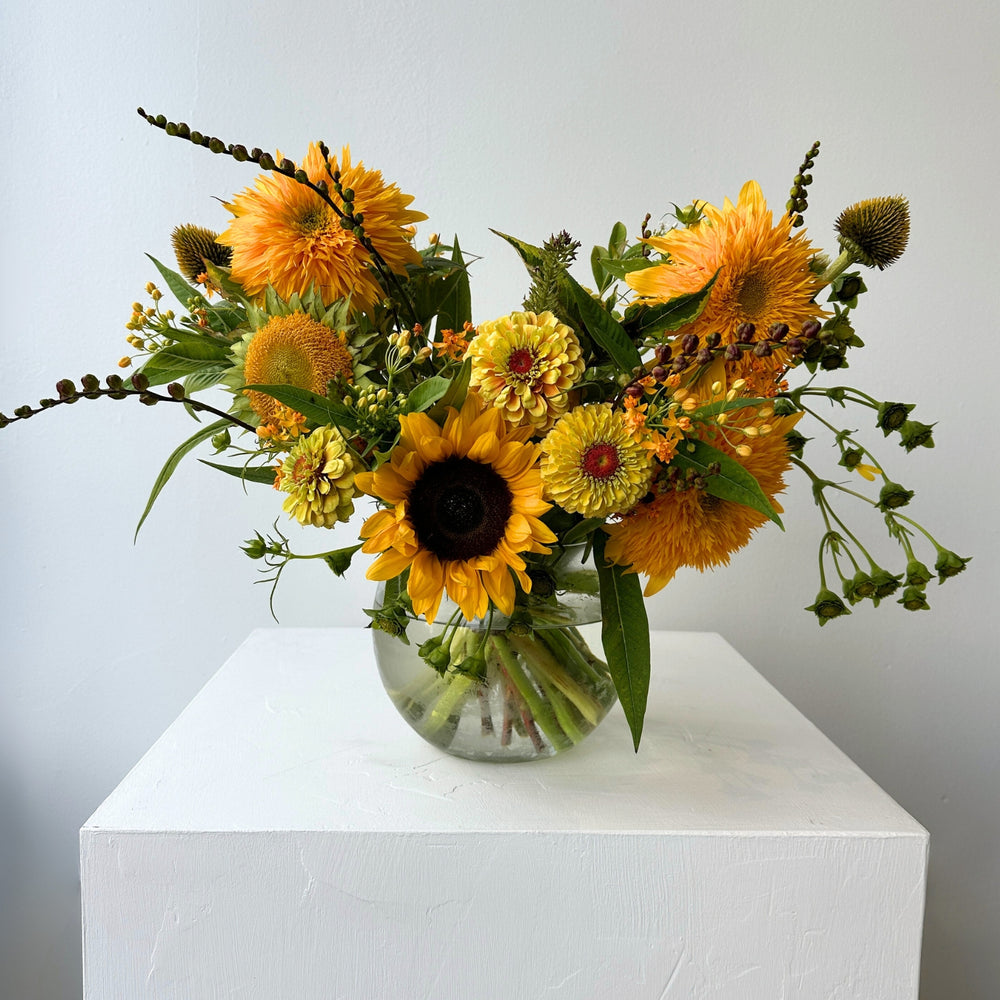 Bloomfields Flowers- Ottawa Florist