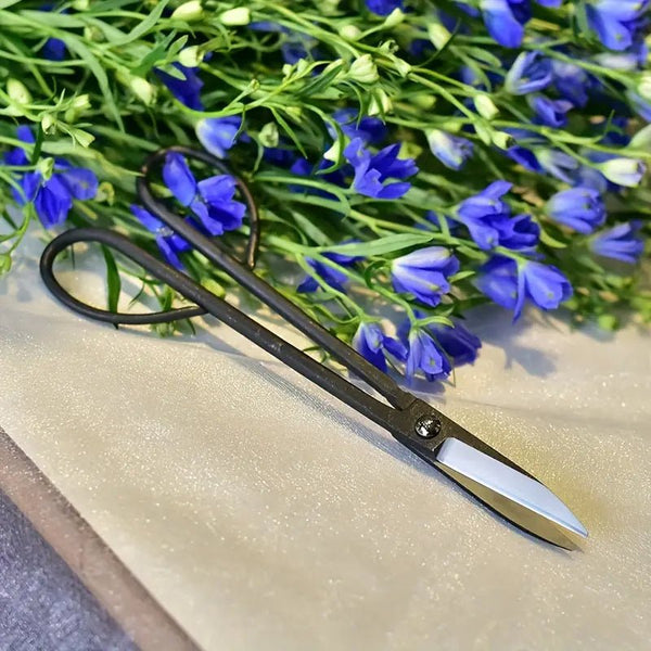 Elongated Scissors Style Garden Shears - Bloomfields