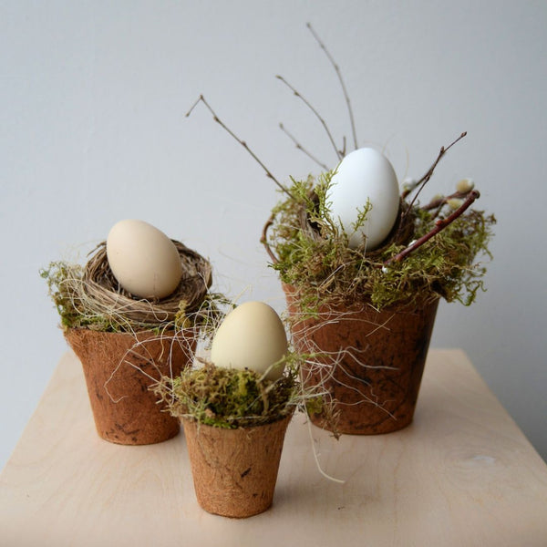 Hatch Arrangements - Bloomfields